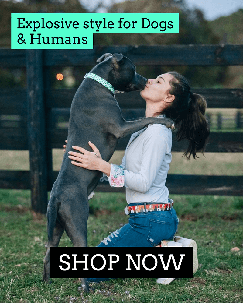 Shop America's No. 1 Personalized Dog Collars & Matching Accessories – C4
